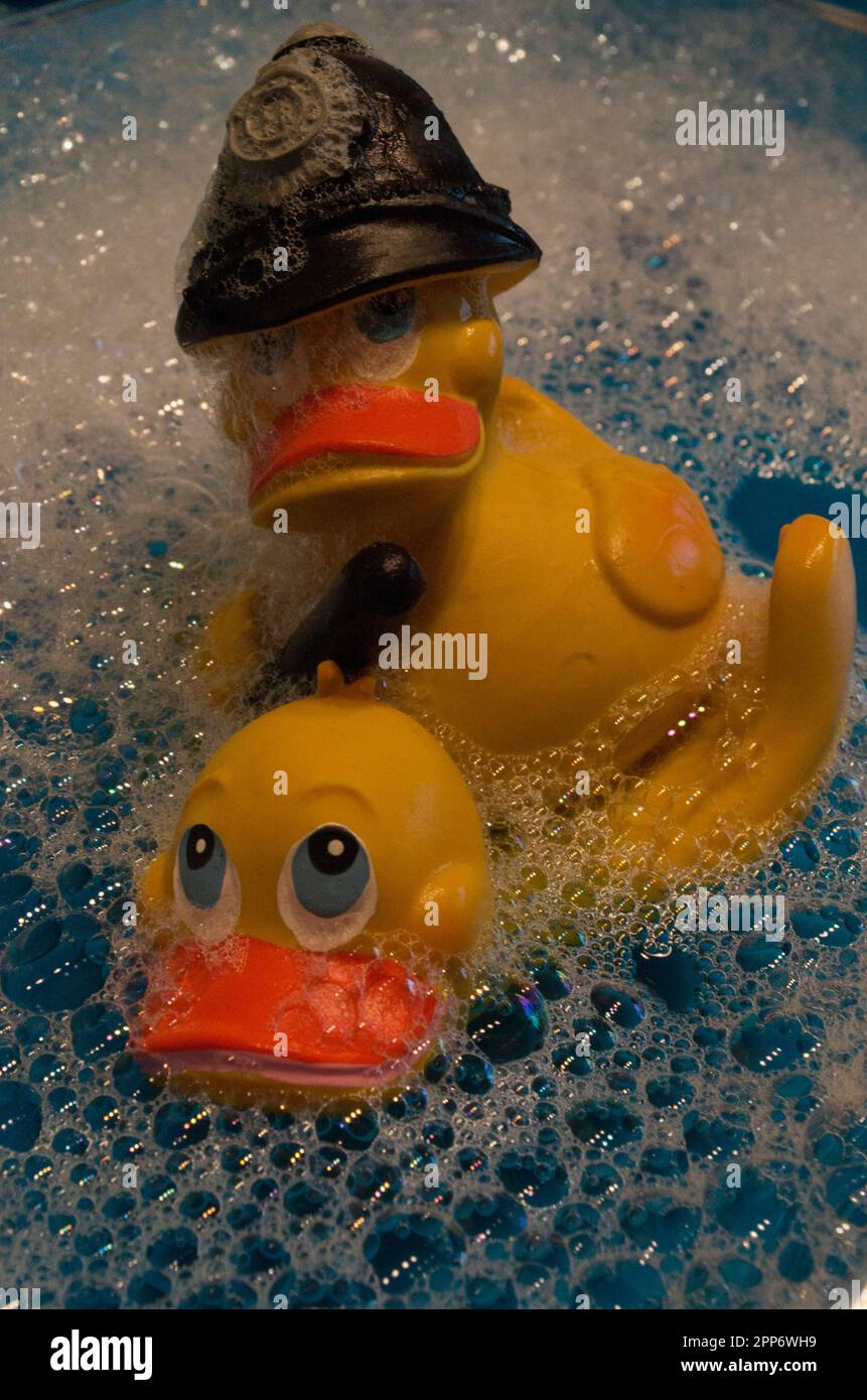 Funny yellow and blue rubber ducks hi-res stock photography and images ...