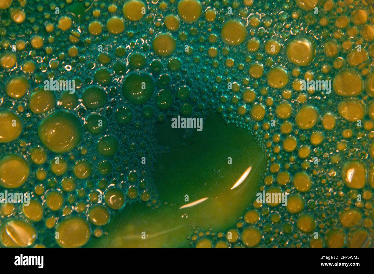 Fat eye hi-res stock photography and images - Alamy