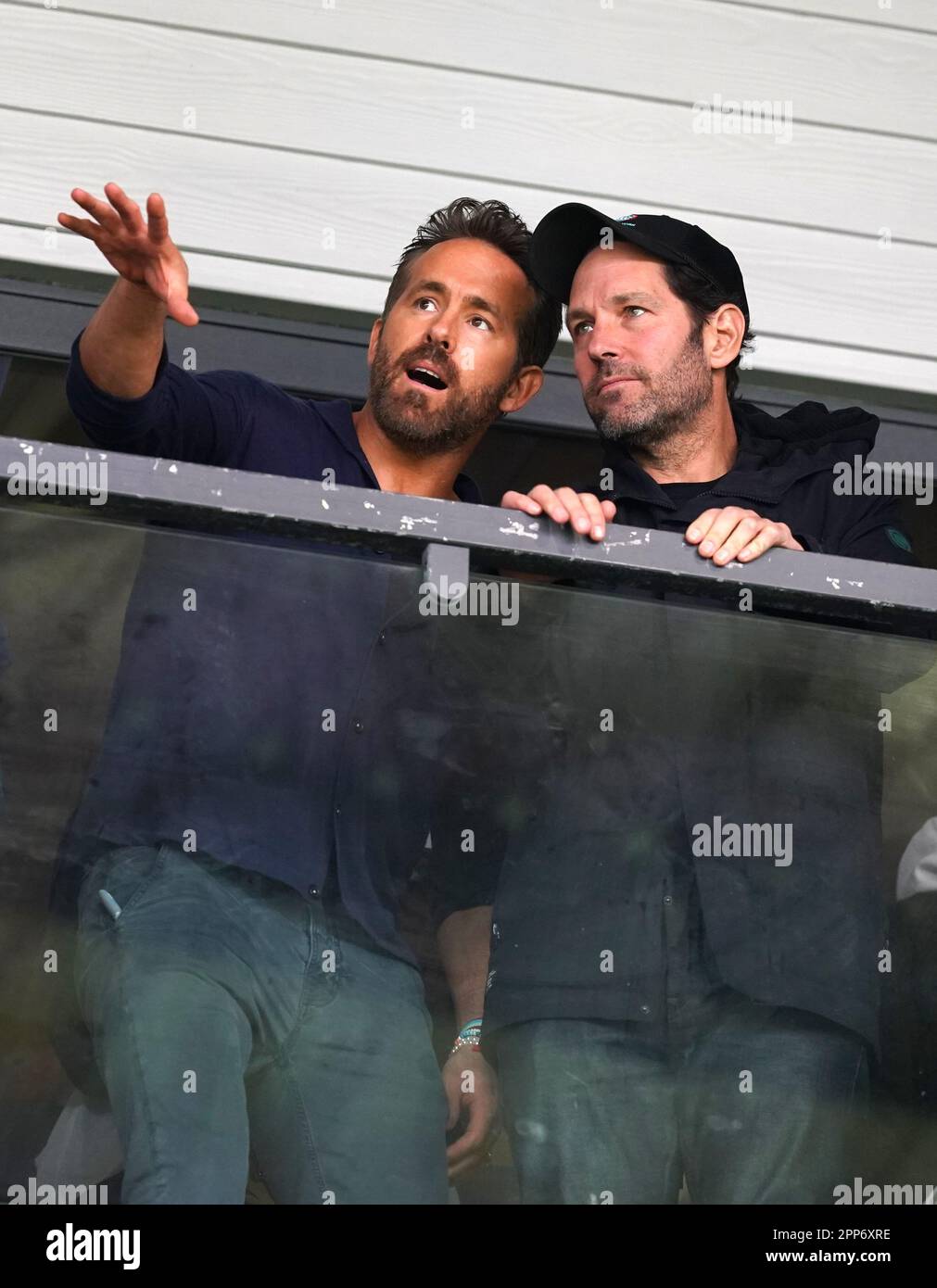 Wrexham co-owner Ryan Reynolds (left) and Paul Rudd in the stands ...
