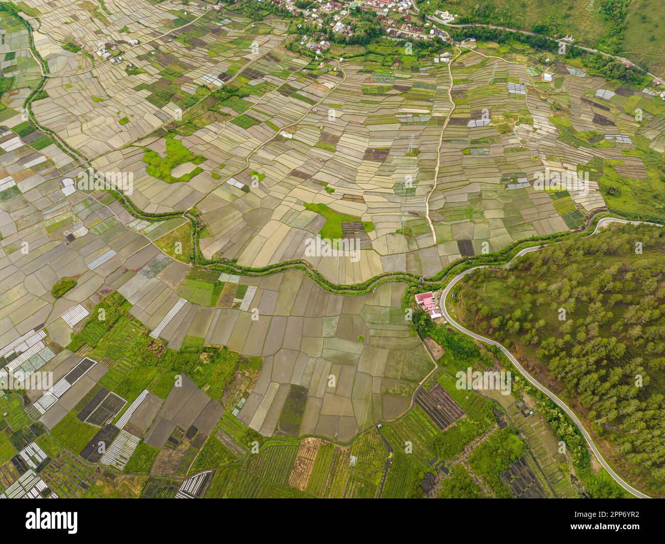 Farmland in the countryside. Agricultural landscape in Sumatra ...