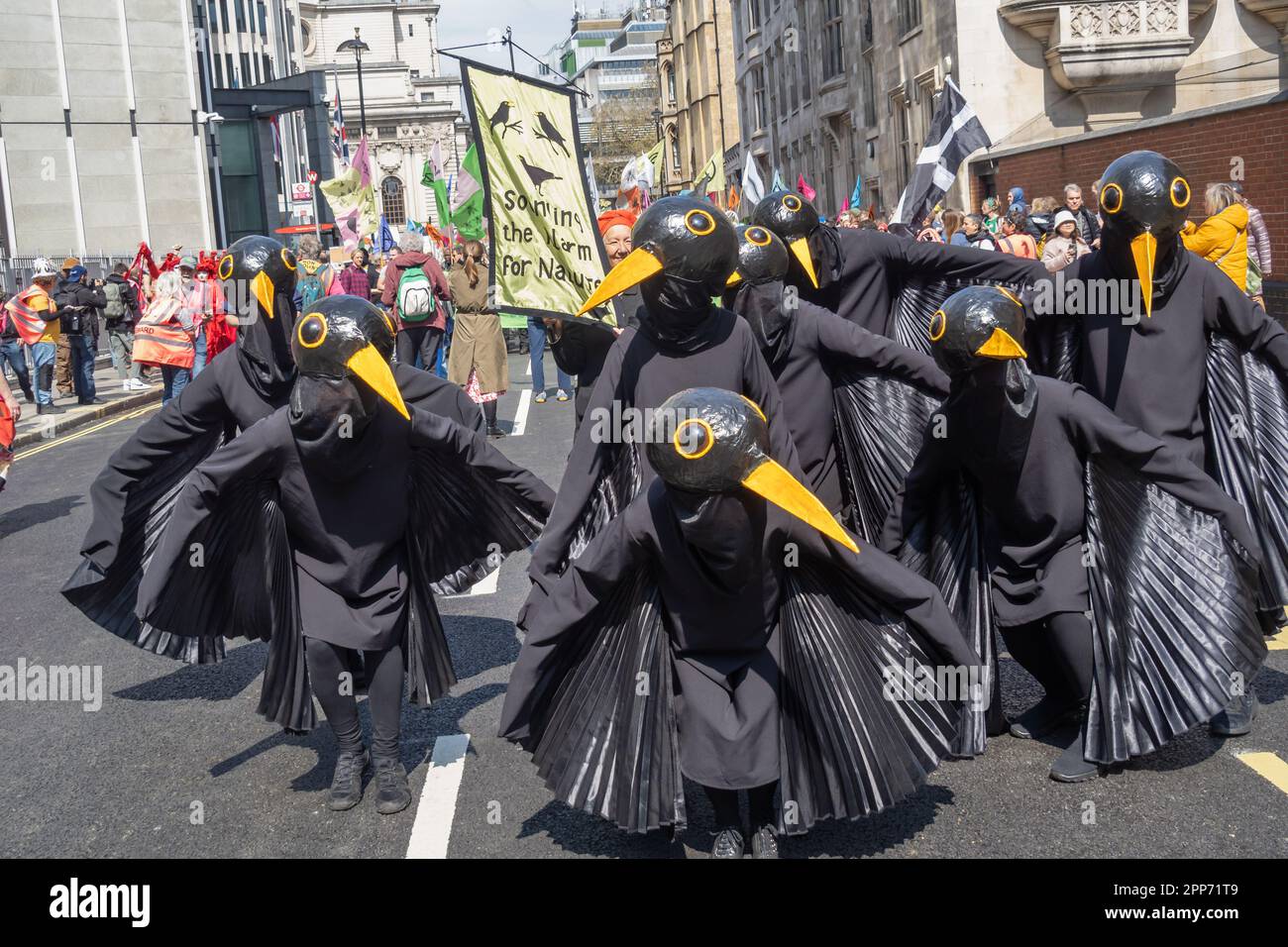 London, UK. Crows sound the alarm for nature. Many thousands of ...