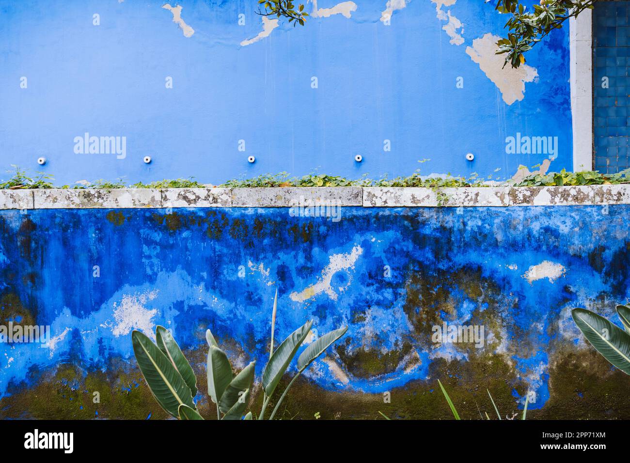 Blue weathered moldy wall with peeling off layers of paint Stock Photo ...