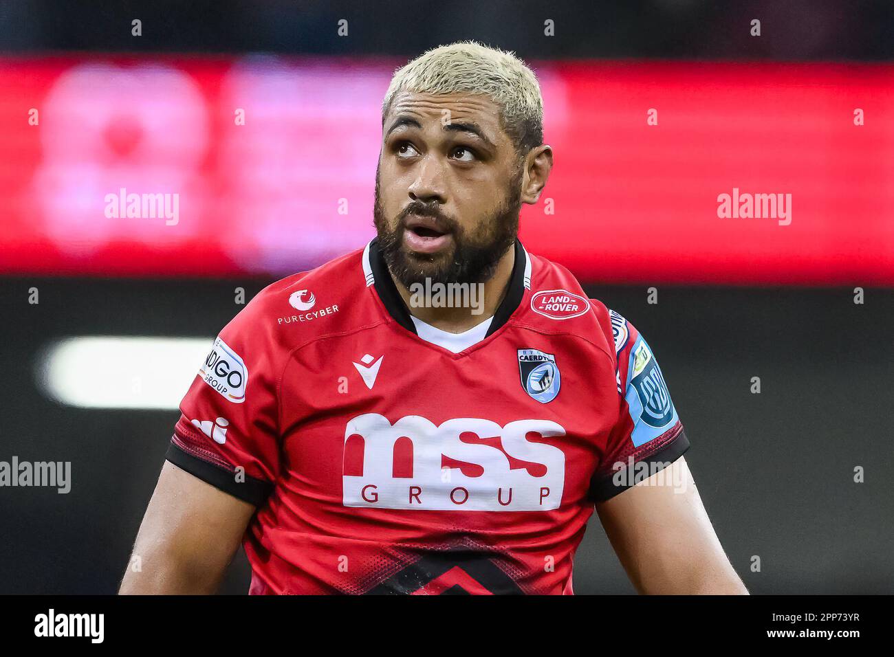 Taulupe hi-res stock photography and images - Alamy