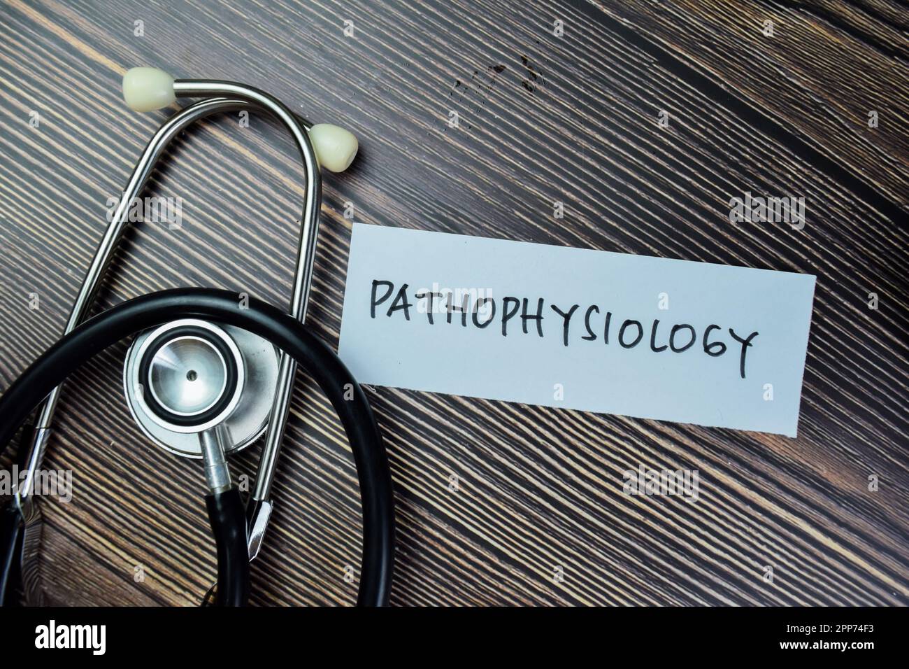 Airway anatomy hi-res stock photography and images - Alamy