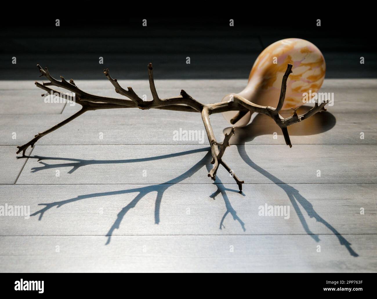 Fallen glass vase with dry lifeless tree branch in it. Vase is on the ...