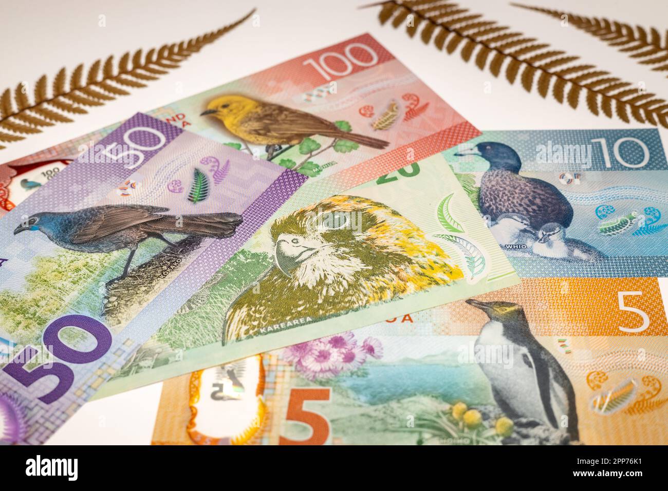 New zealand money, all banknotes and silver fern leaves of the symbol ...