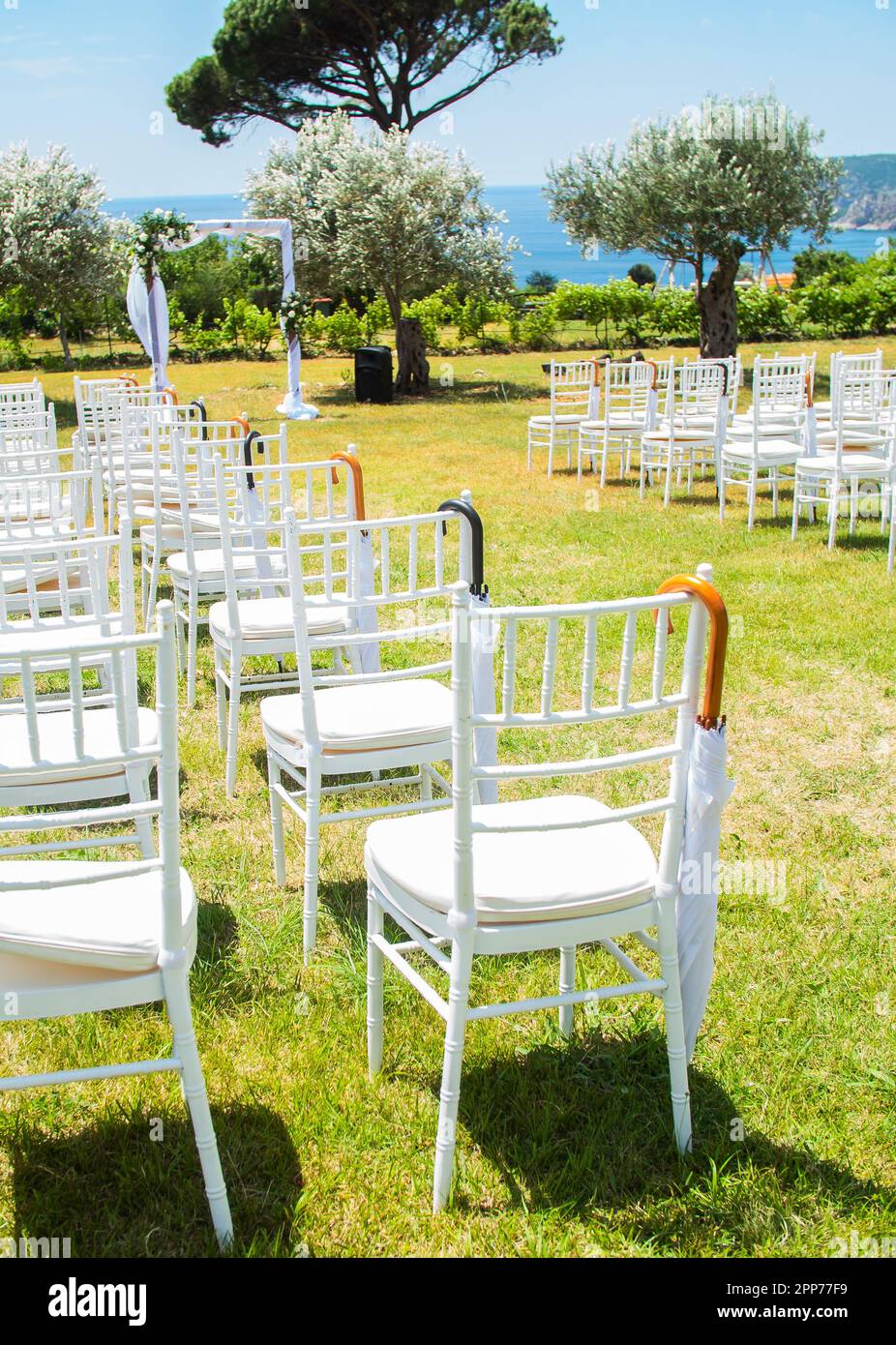 Wedding decoration chairs in rustic green style. Wedding ceremony ...