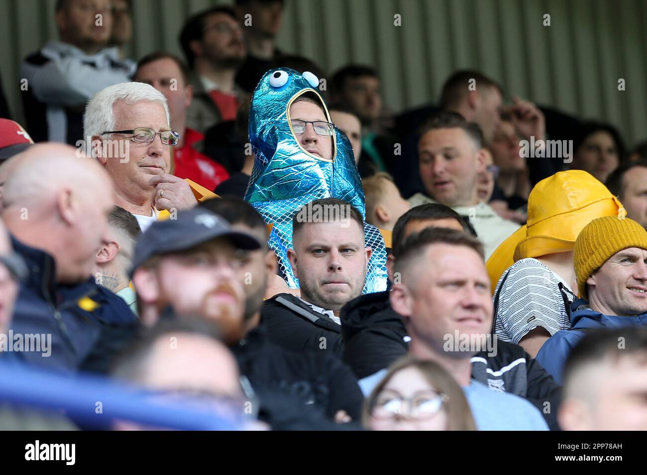 Birkenhead, UK. 22nd Apr, 2023. A Grimsby Town fan watches on dressed ...