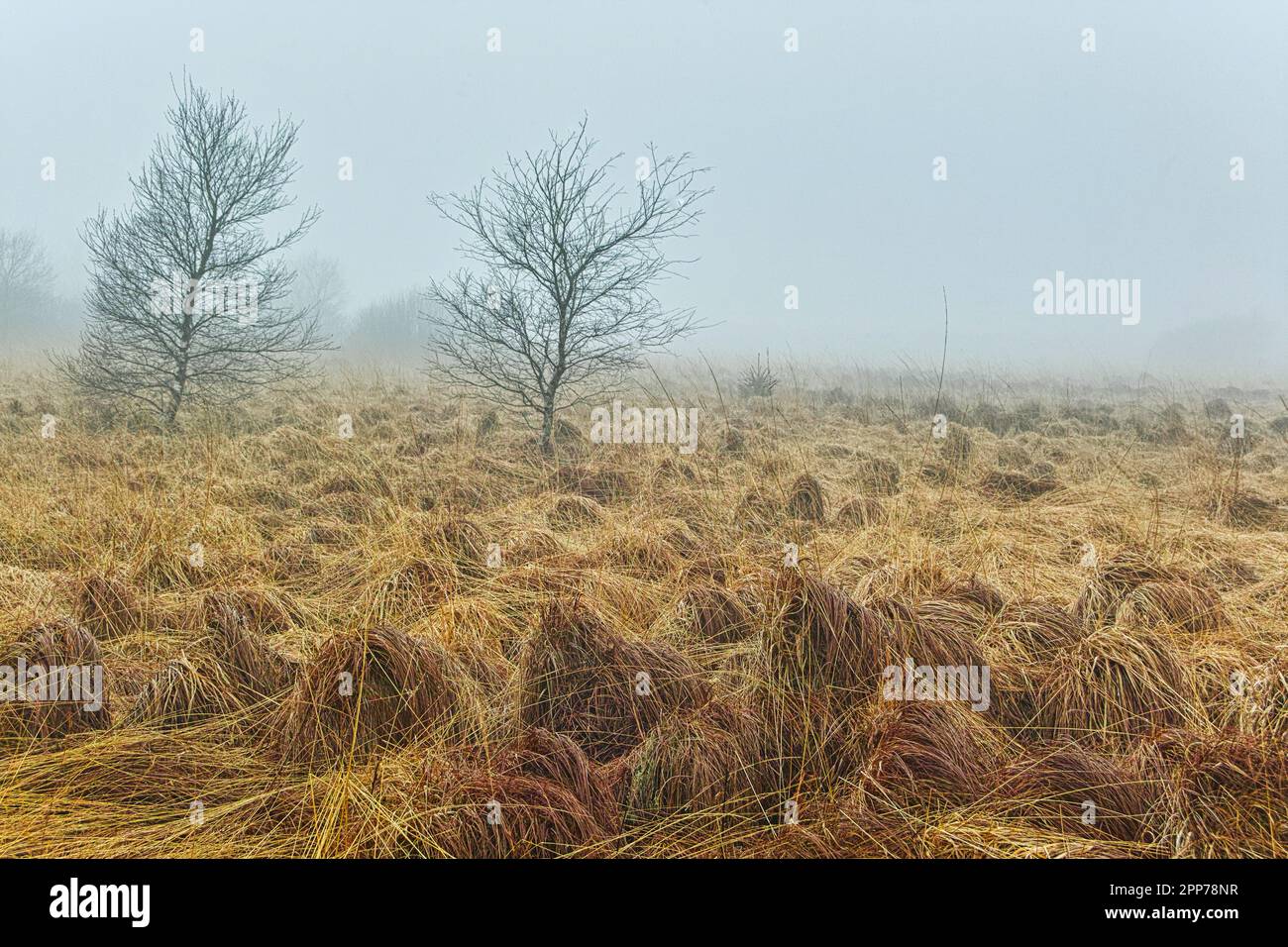 High fenns hi-res stock photography and images - Alamy
