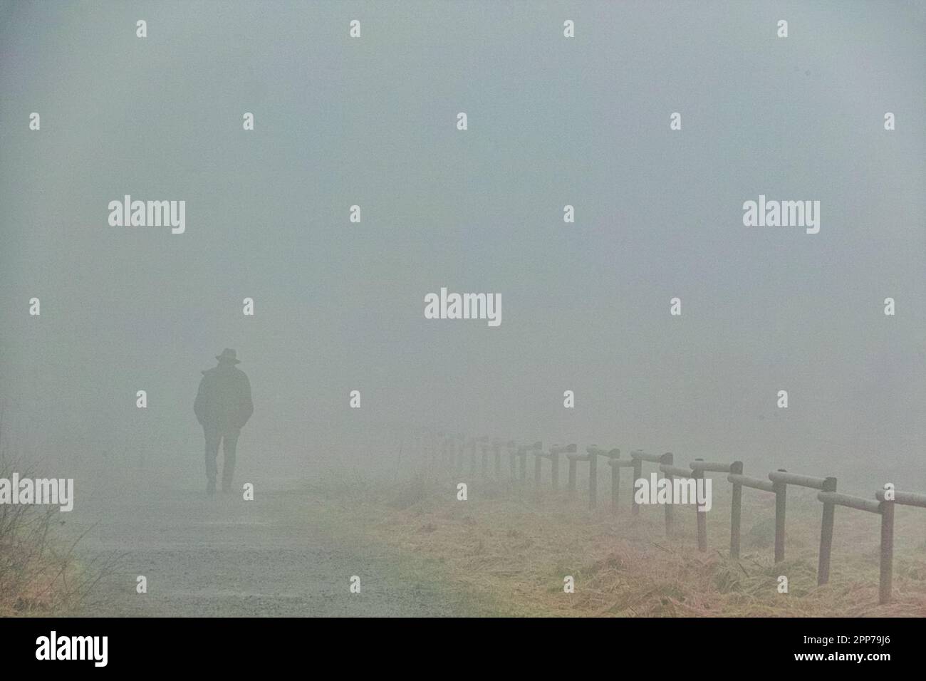 Man walking alone in fog Stock Photo - Alamy