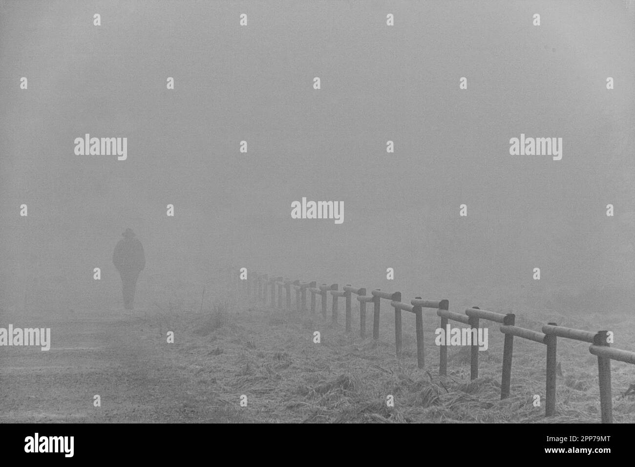 Man walking alone in fog Stock Photo - Alamy