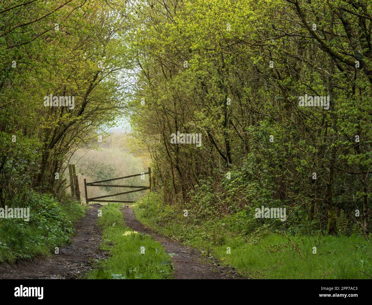 English countryside gate hi-res stock photography and images - Alamy