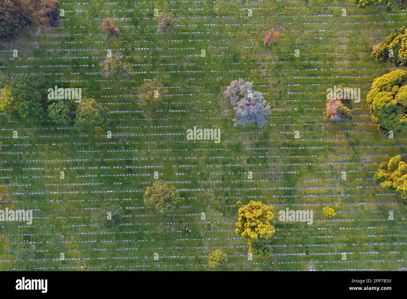 An aerial view rose hills memorial park mortuary cemetery hi-res stock ...