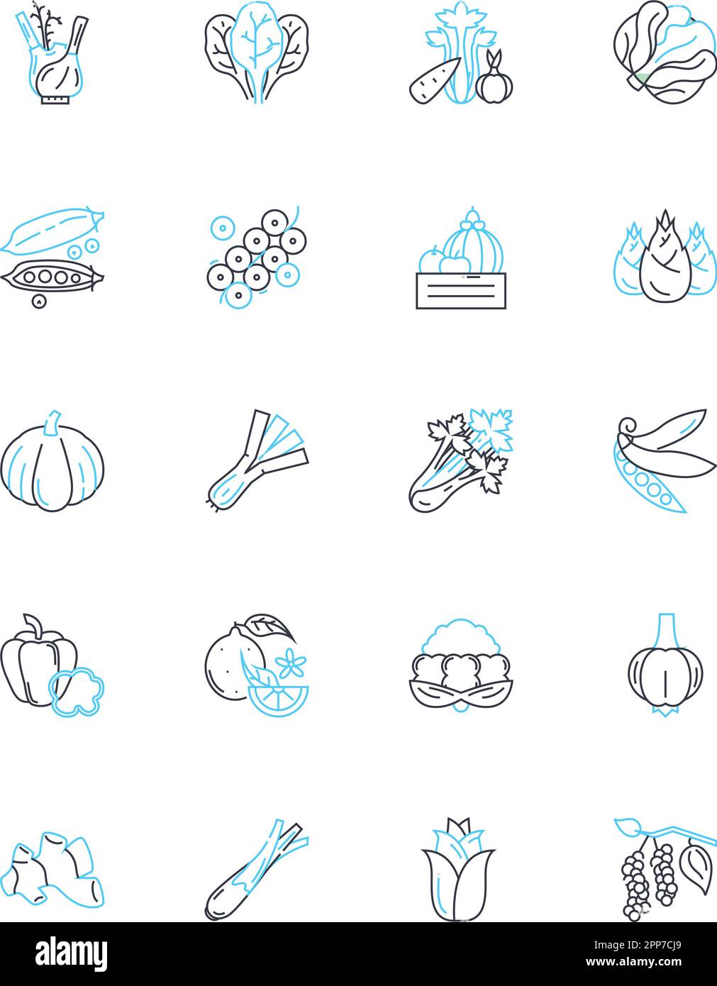 Balanced nutrition linear icons set. Health, Energy, Protein ...