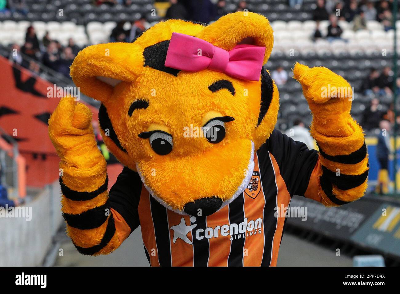 Hull City mascot dancing ahead of the Sky Bet Championship match Hull ...