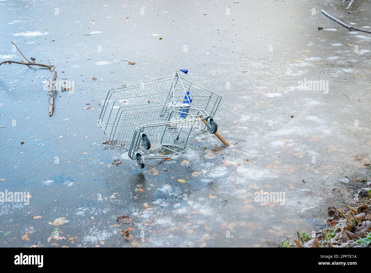 A shopping cart was pushed into a pond and then frozen in the water ...