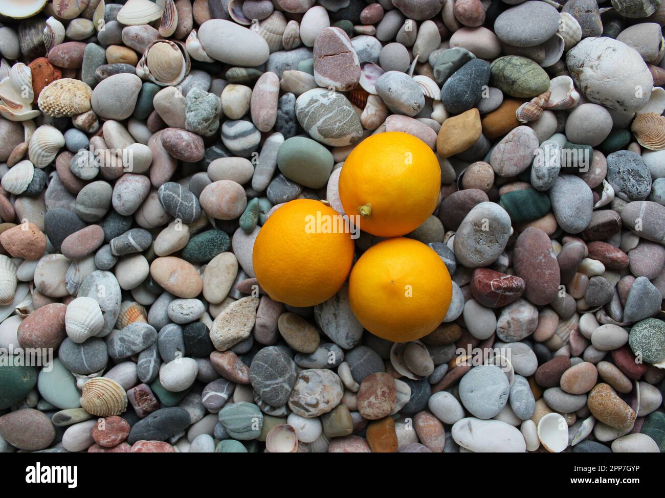 Pattern Of Sea Stones Mixed With Small Shells And Three Whole Citrus ...