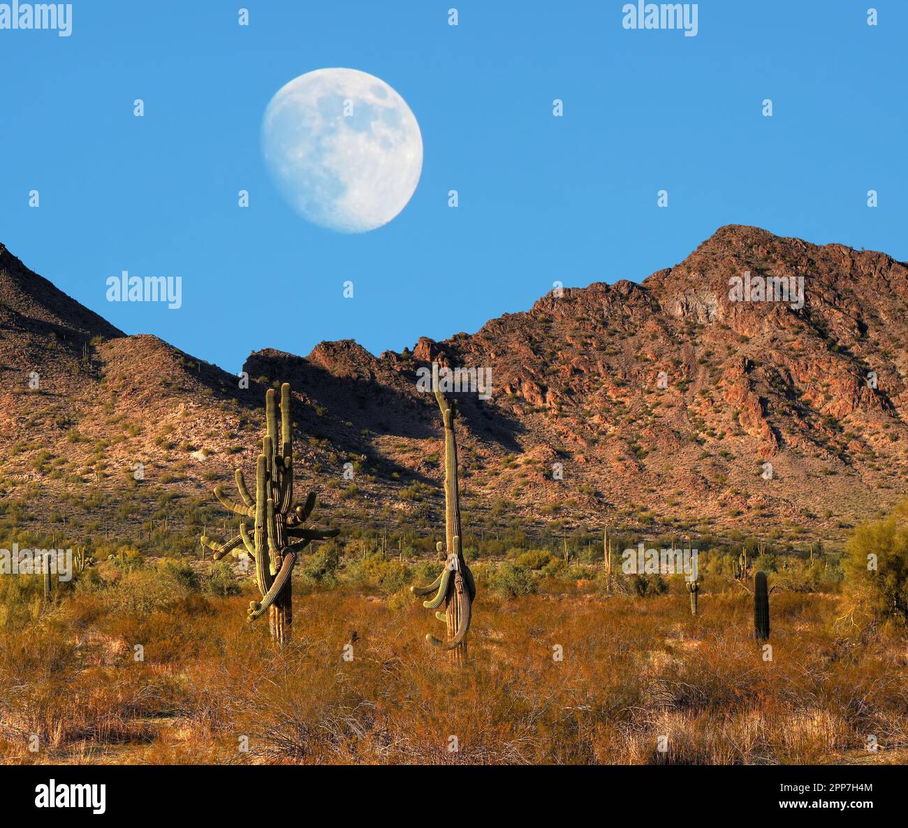 Desert moon over the southwestern USA desert and mountains Stock Photo ...