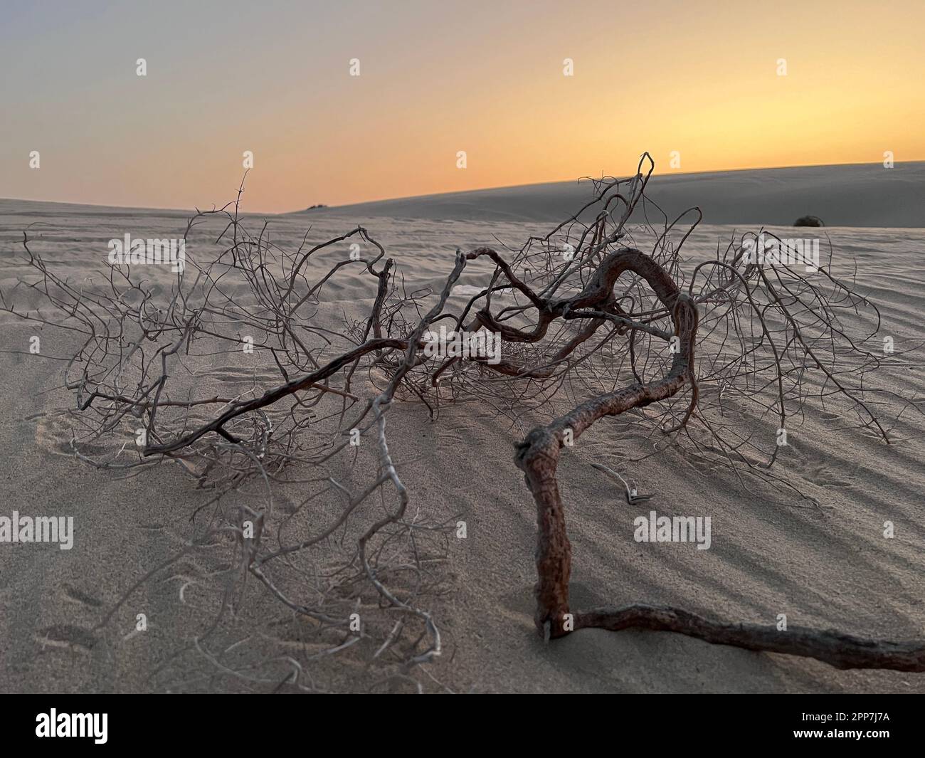 Inland Sea, Qatar - November 10, 2023: Beautiful sunset of Inland sea ...