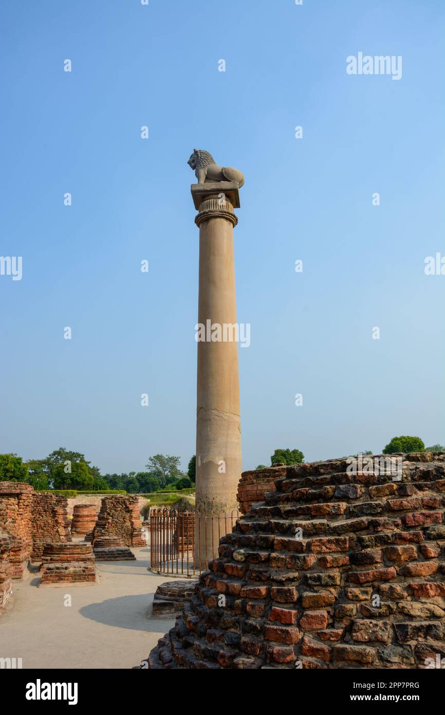 Pillars of Ashoka , India Stock Photo - Alamy