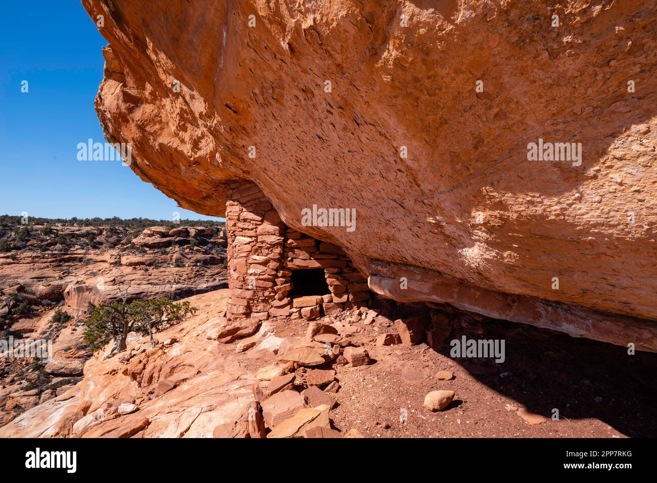 The Citadel, an abandoned, rebuilt Anasazi ruin on Cedar Mesa, near ...