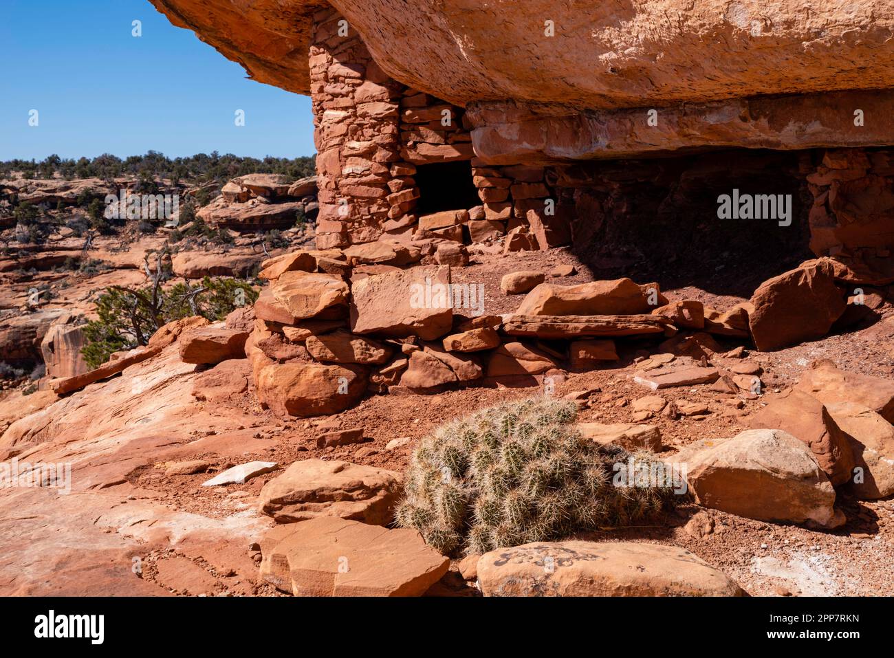 The Citadel, an abandoned, rebuilt Anasazi ruin on Cedar Mesa, near ...