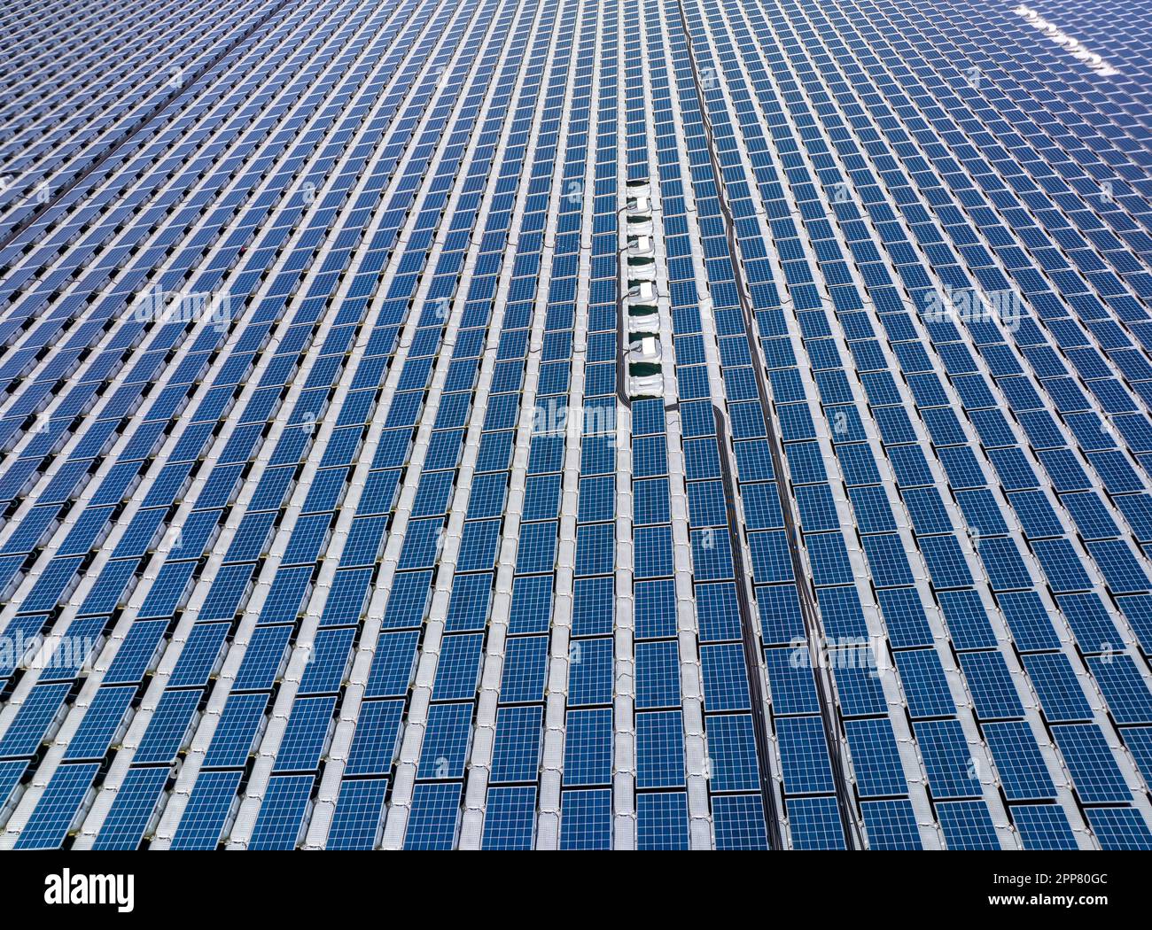 Rows of panels in grid at floating solar farm on sunny day Stock Photo ...