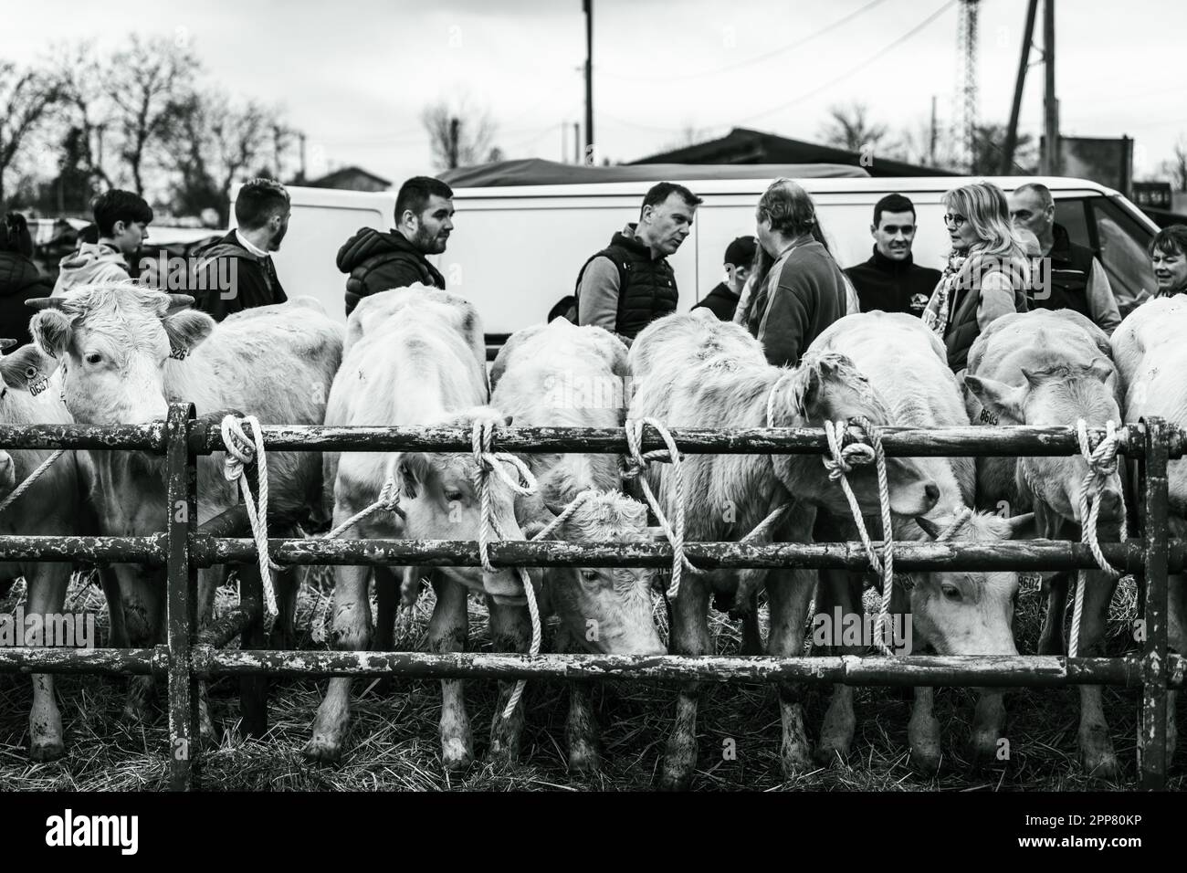 Beaucroissant fair hi-res stock photography and images - Alamy