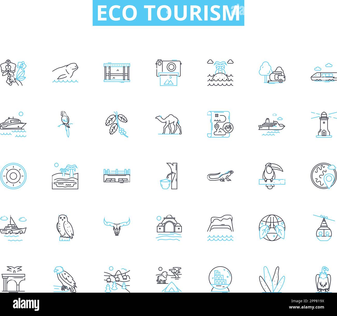 Eco tourism linear icons set. Sustainable, Wildlife, Adventure, Green, Preserve, Conservation ...