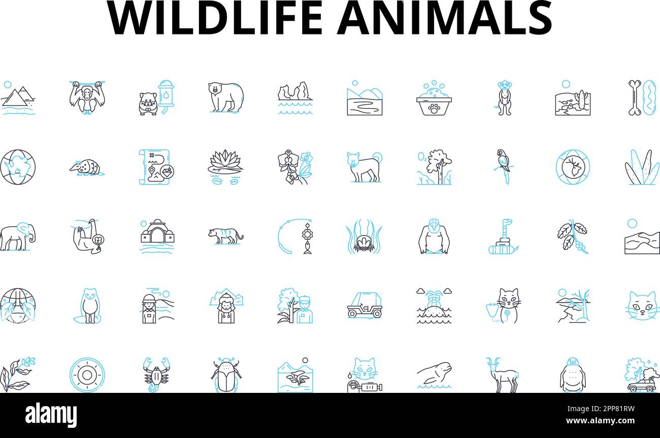 Wildlife animals linear icons set. Elephant, Giraffe, Lion, Tiger ...