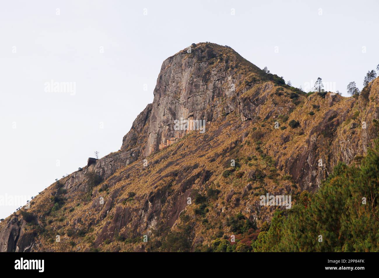 beautiful tall rock mountain top view in kerala india Stock Photo - Alamy