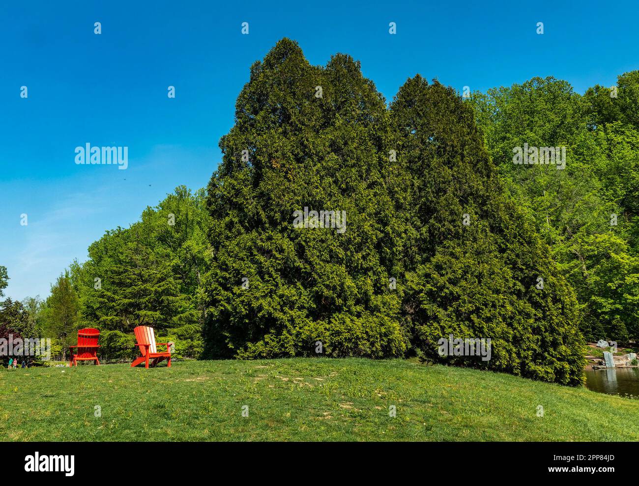 Two red chairs on top of a hill Stock Photo - Alamy