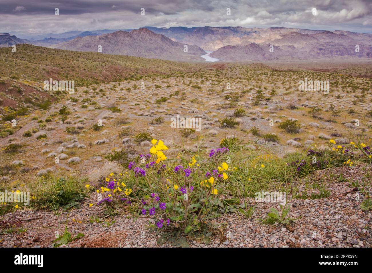 Scenic landscape from an overlook on Highway 93 south of Hoover Dam ...