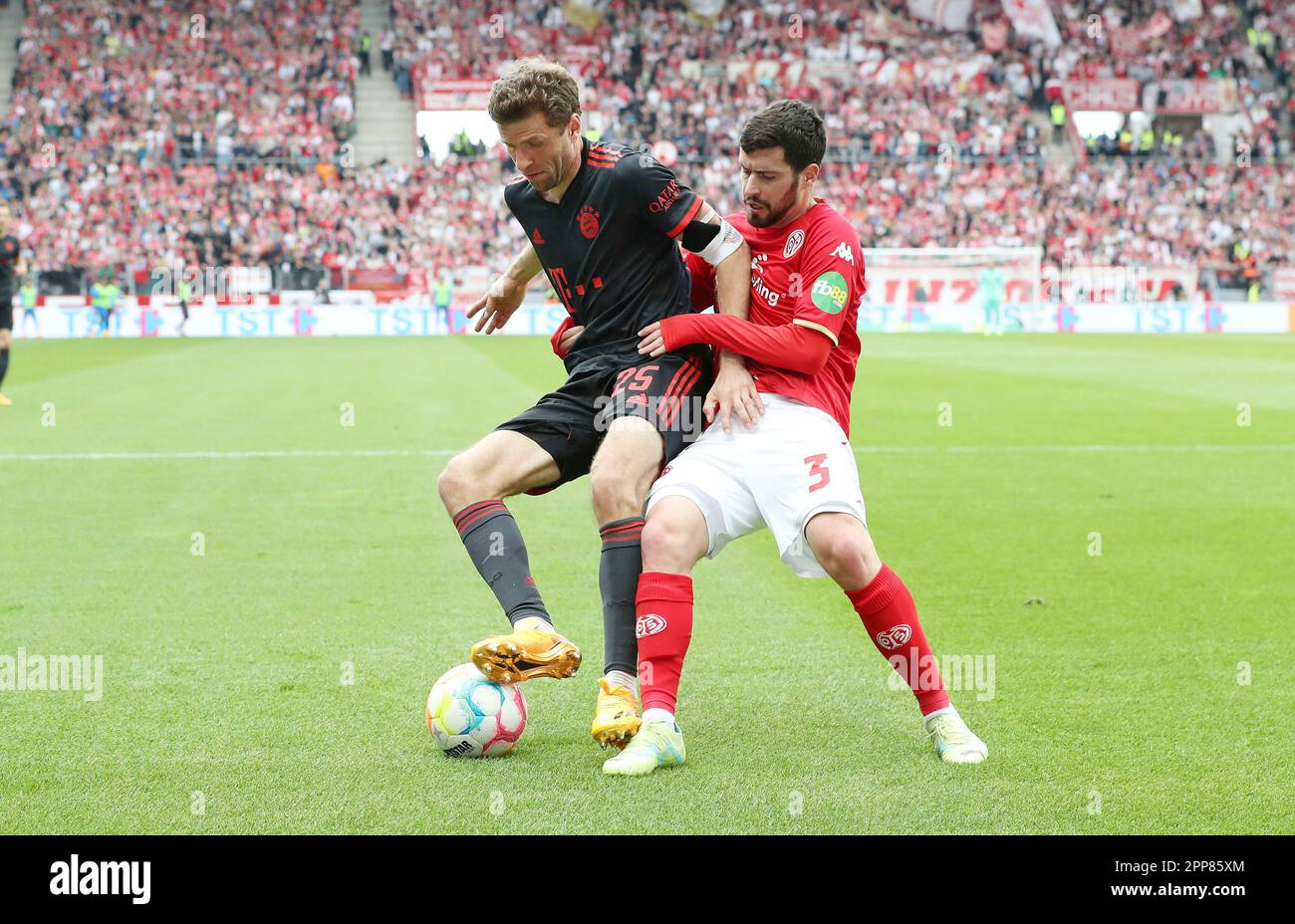 Aaron muller hi-res stock photography and images - Alamy