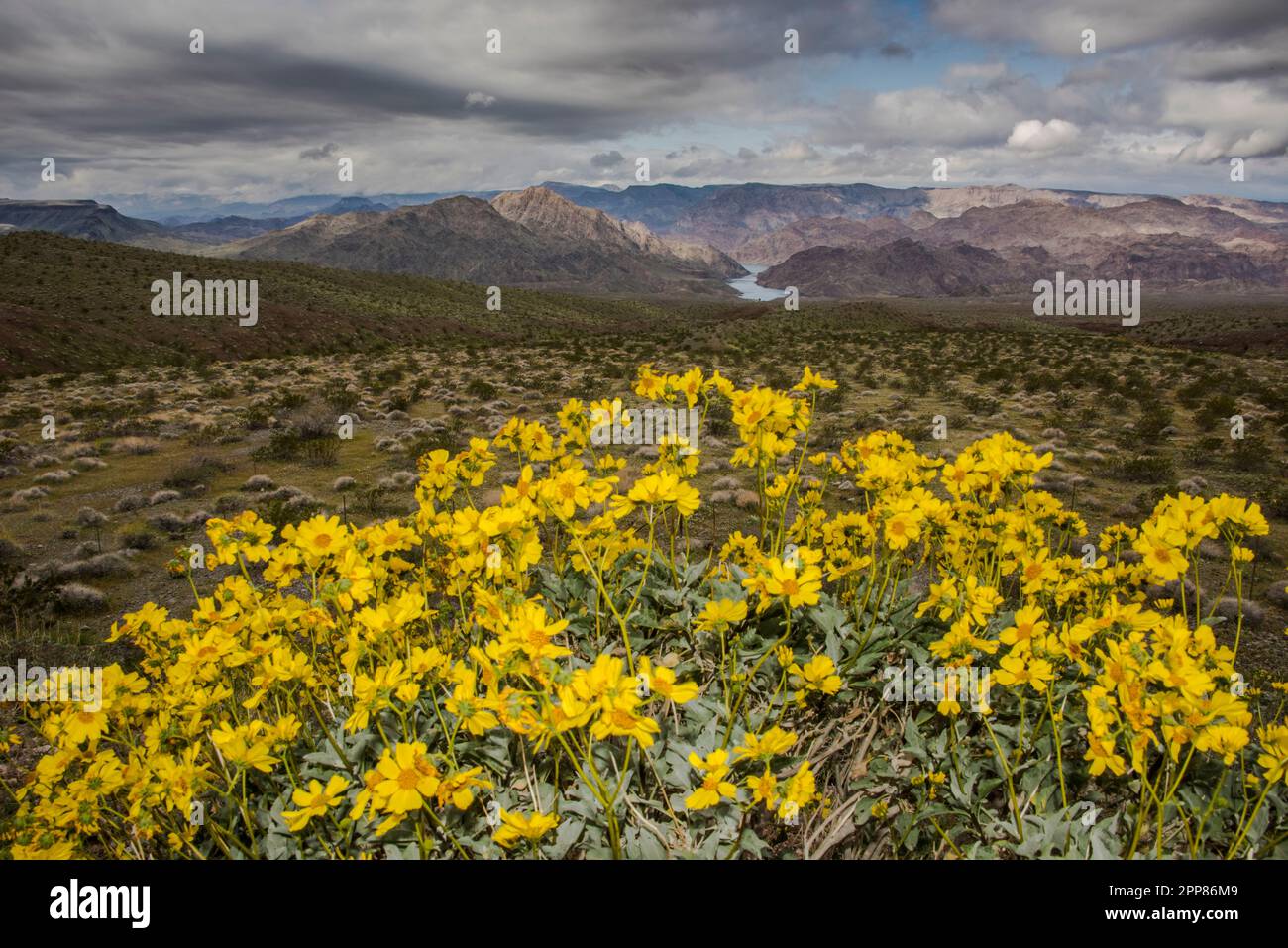 Scenic landscape from an overlook on Highway 93 south of Hoover Dam ...