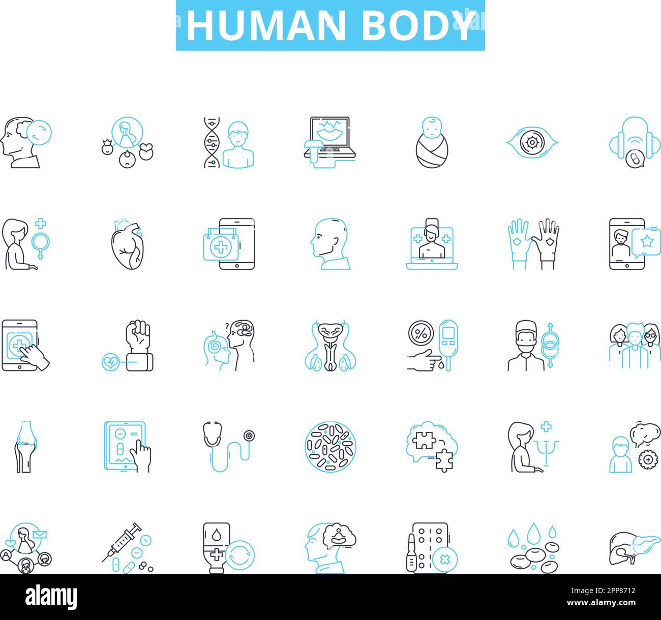 Human body linear icons set. Anatomy, Physiology, Organs, Muscles ... Human body linear icons set. Anatomy, Physiology, Organs, Muscles ...