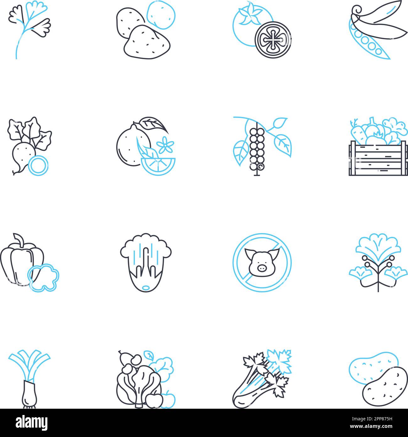 Balanced nutrition linear icons set. Health, Energy, Protein ...