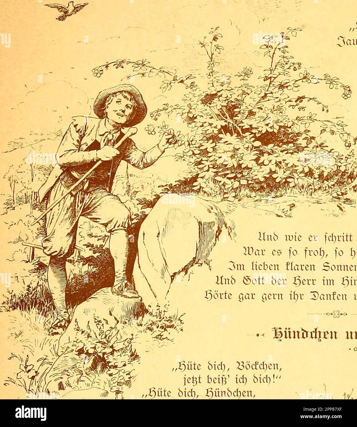 "Fünfzig Fabeln für Kinder" (1909 Stock Photo - Alamy
