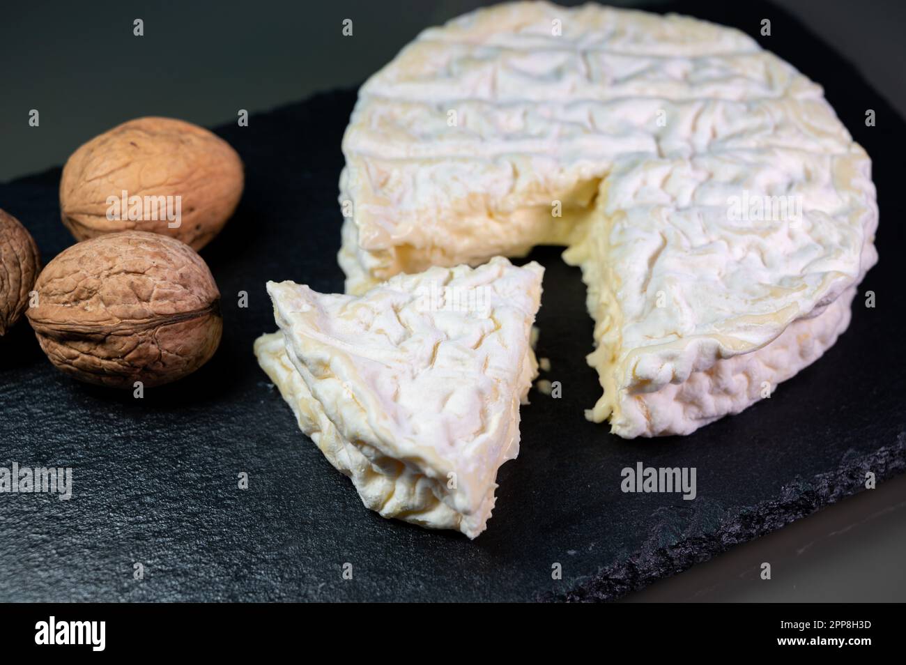 French cheeses collection, Saint-Félicien cow's milk cheese with white ...