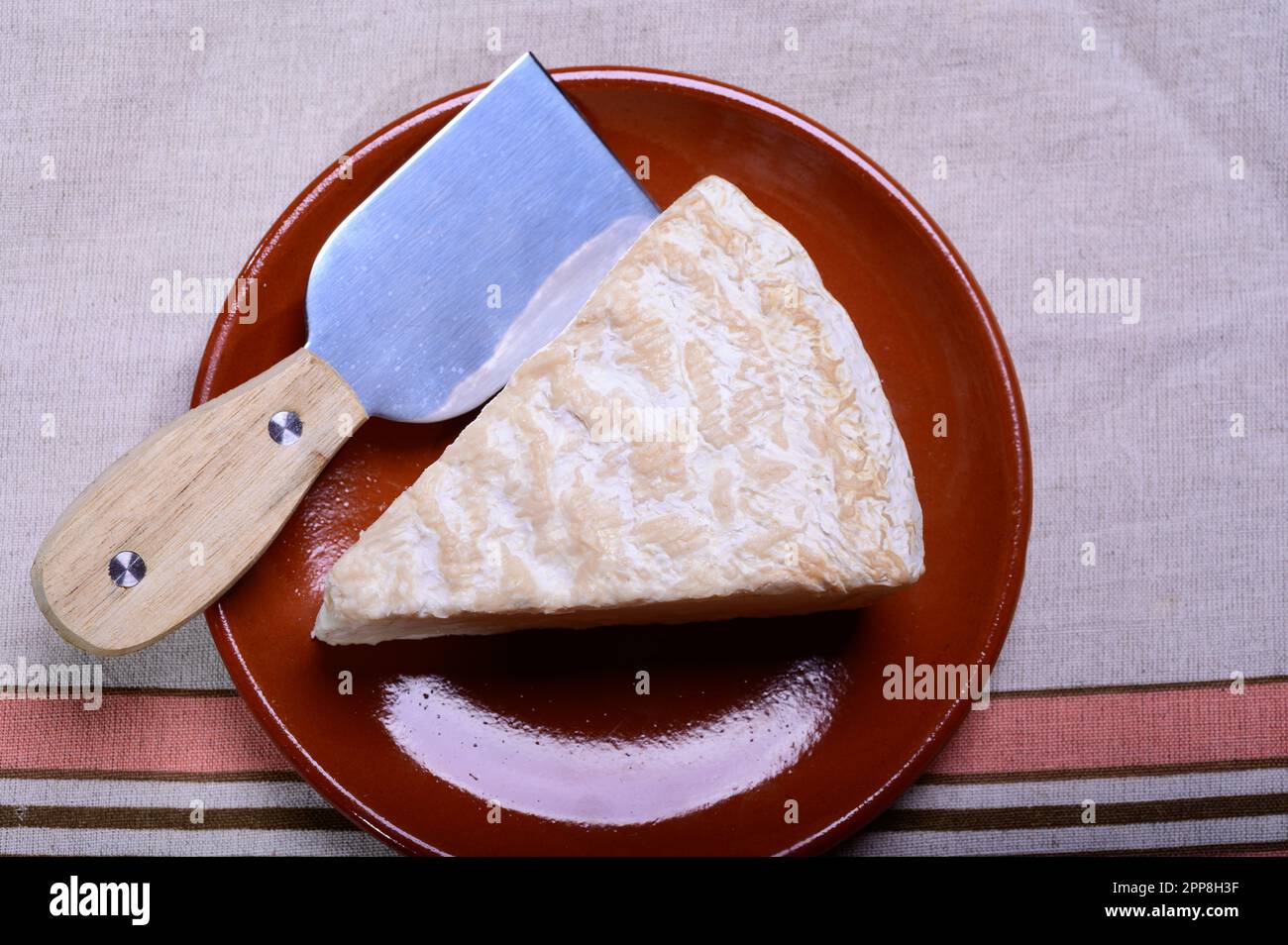 Piece of french soft-ripened white mold cow milk cheese brie produced ...