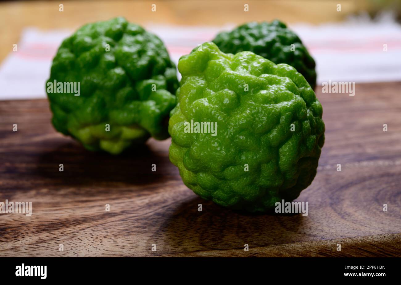 Citrus hystrix, green kaffir lime or makrut lime, citrus fruit native ...