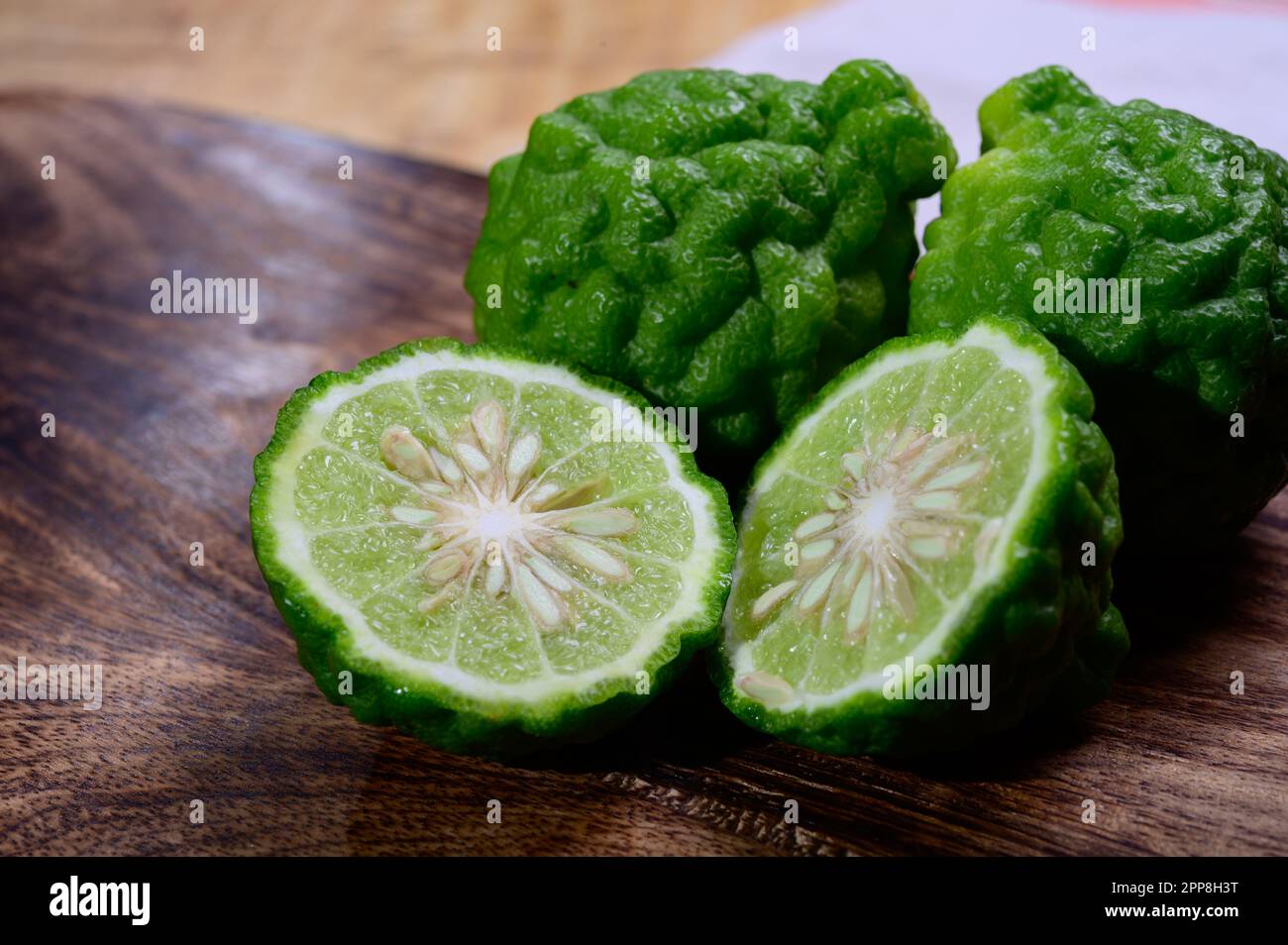 Citrus hystrix, green kaffir lime or makrut lime, citrus fruit native ...