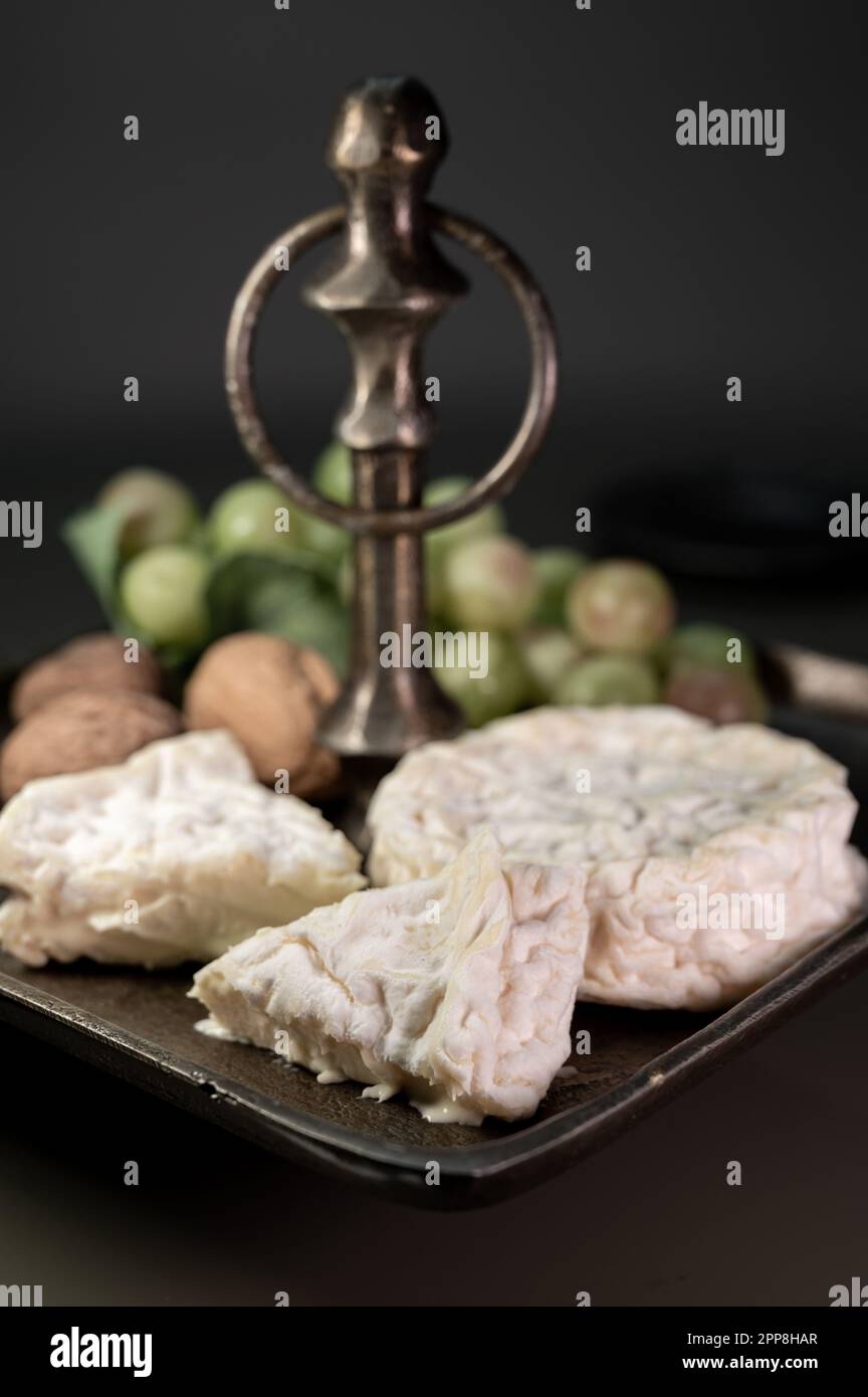 French cheeses collection, Saint-Félicien and saint-marcellin cow's ...