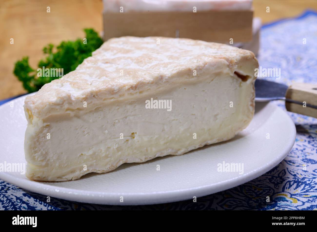 Piece of french soft-ripened white mold cow milk cheese brie produced ...