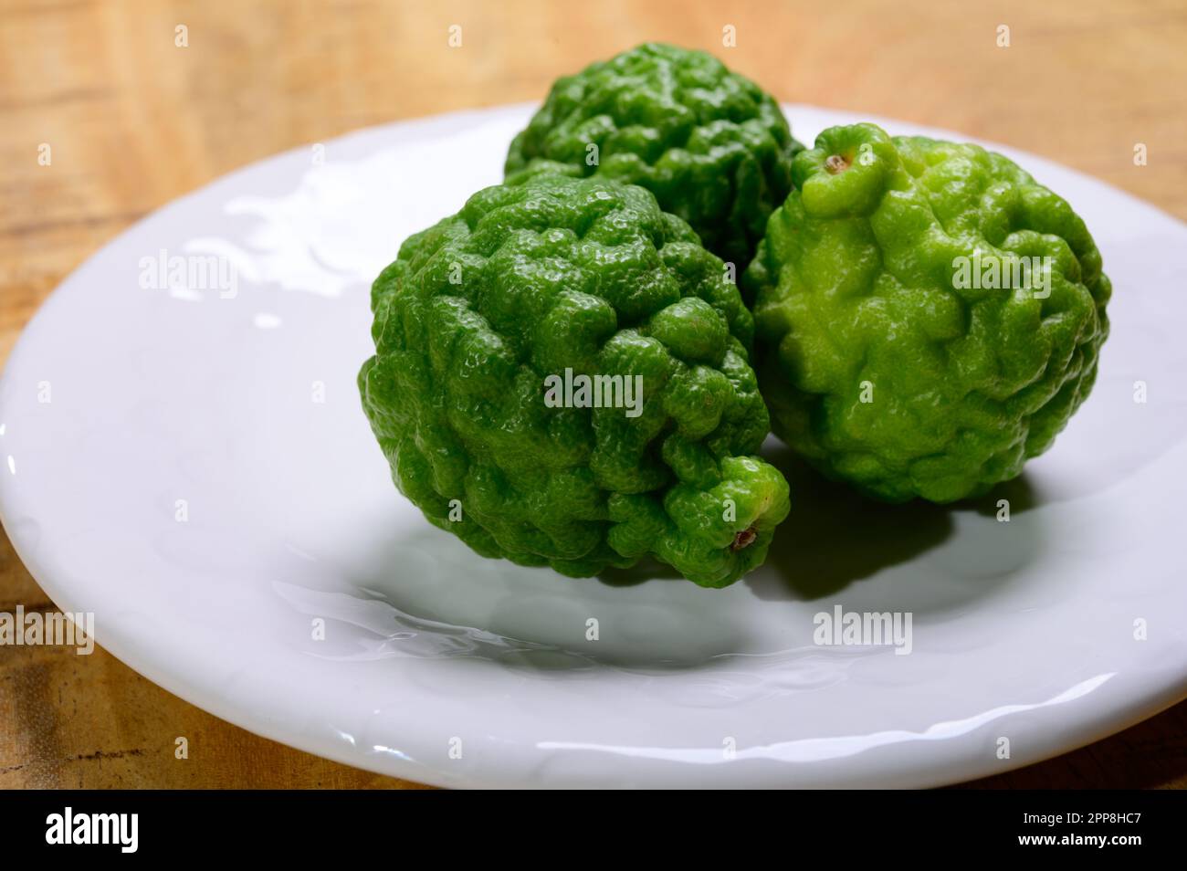 Citrus hystrix, green kaffir lime or makrut lime, citrus fruit native ...