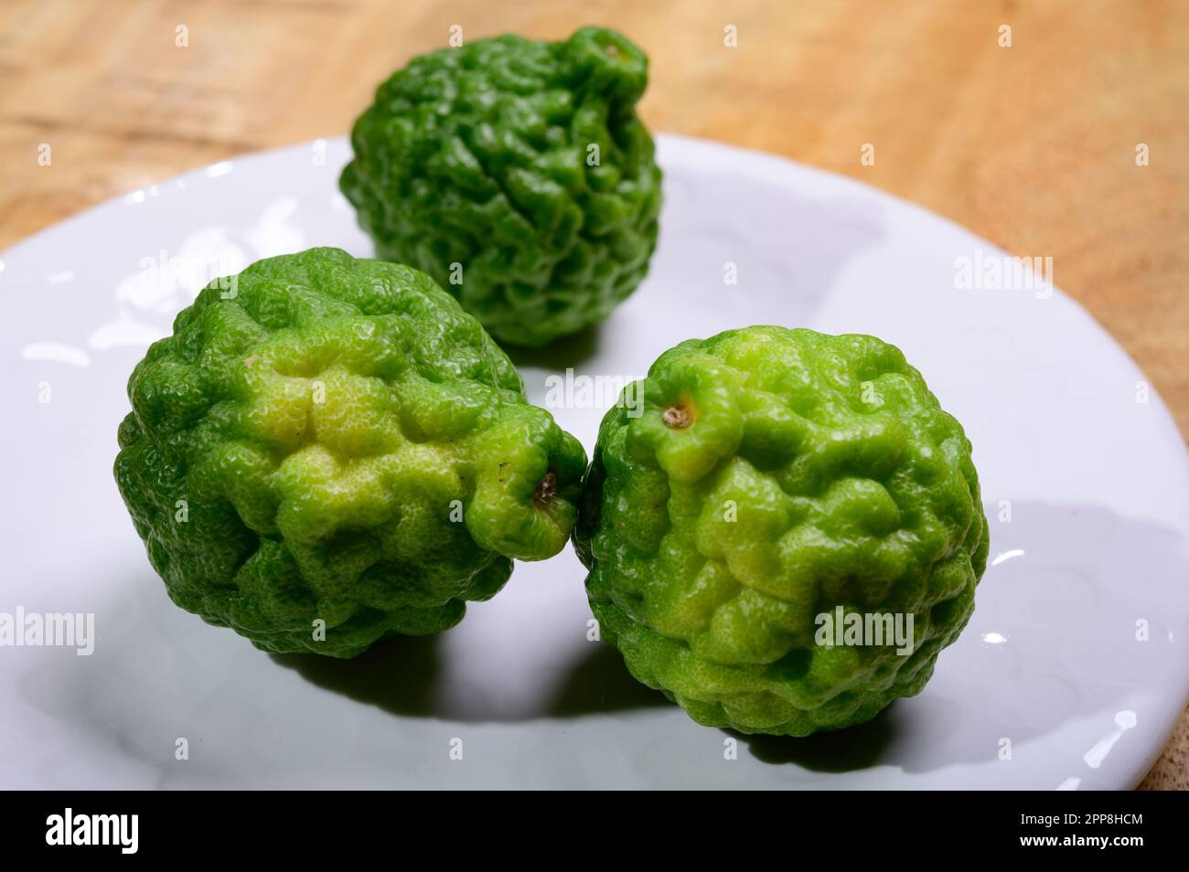 Citrus hystrix, green kaffir lime or makrut lime, citrus fruit native ...