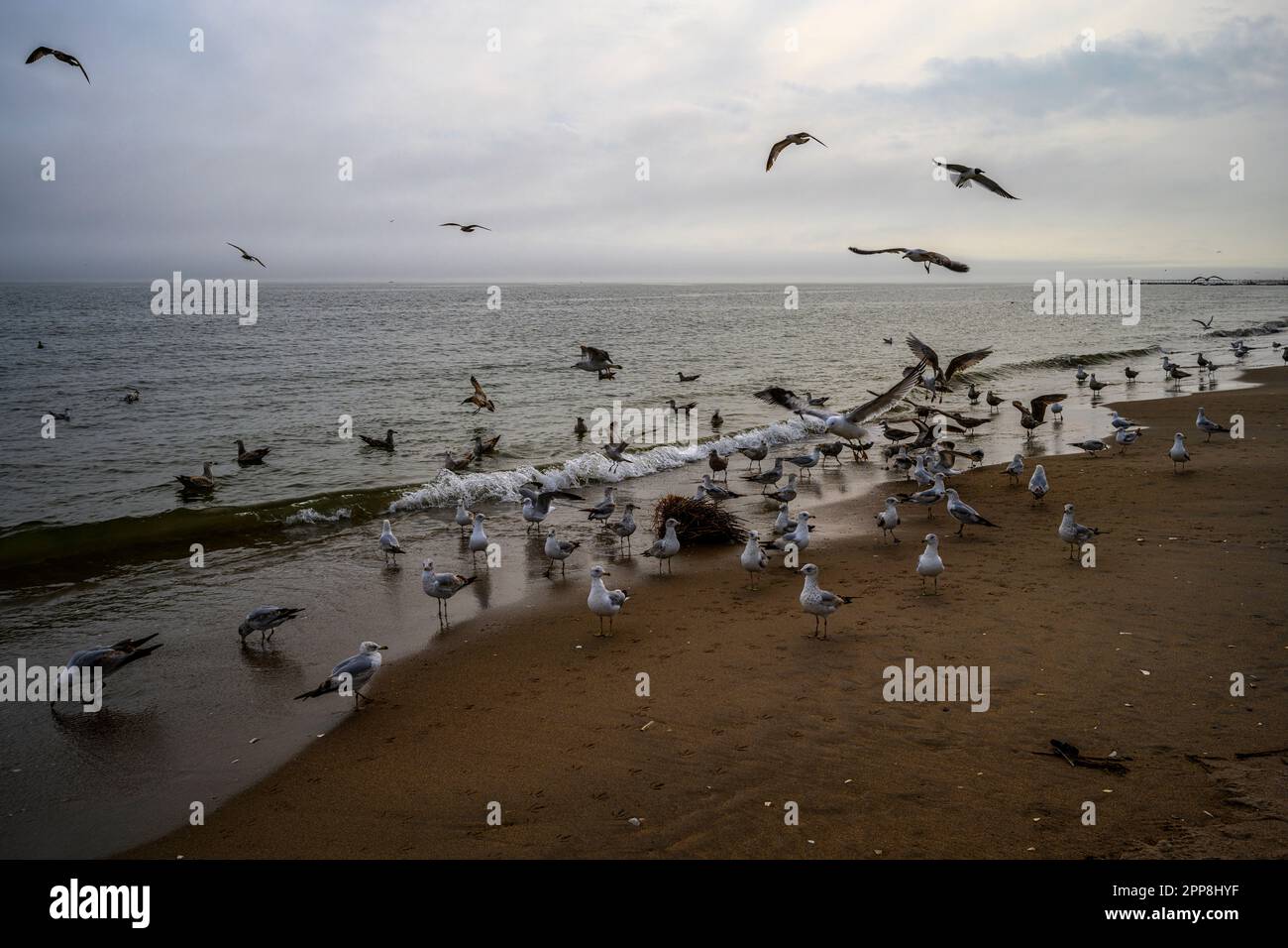 Beach cludy day hi-res stock photography and images - Alamy