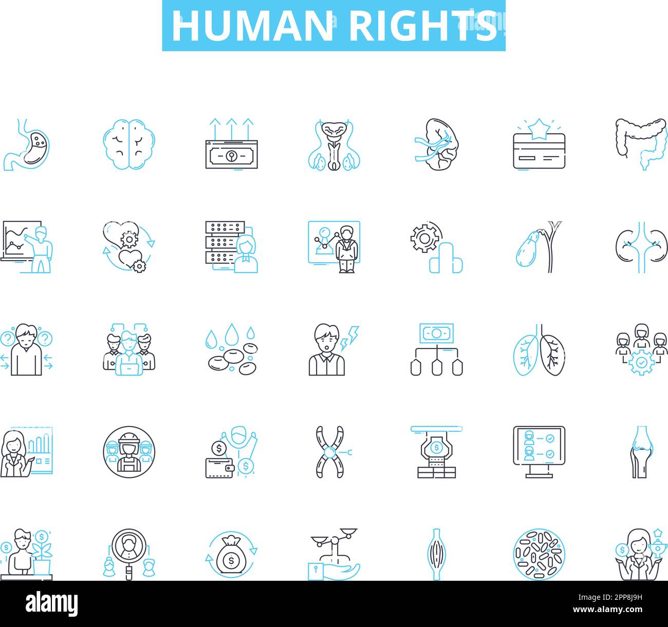 Human rights linear icons set. Equality, Dignity, Justice, Liberty ...