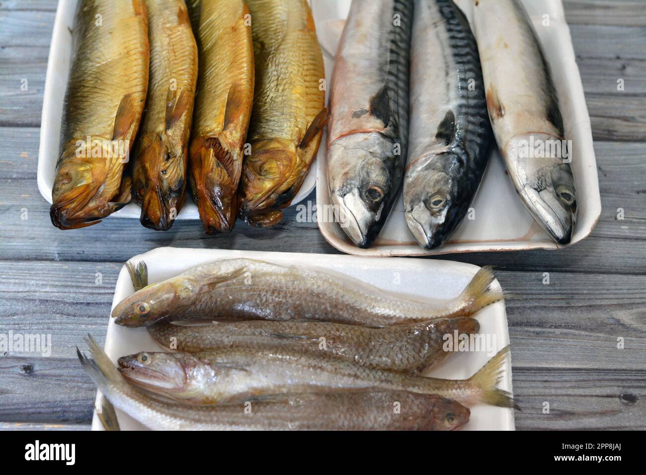 Various types of Raw Fishes of Mackerel fish, Saurida undosquamis, the ...
