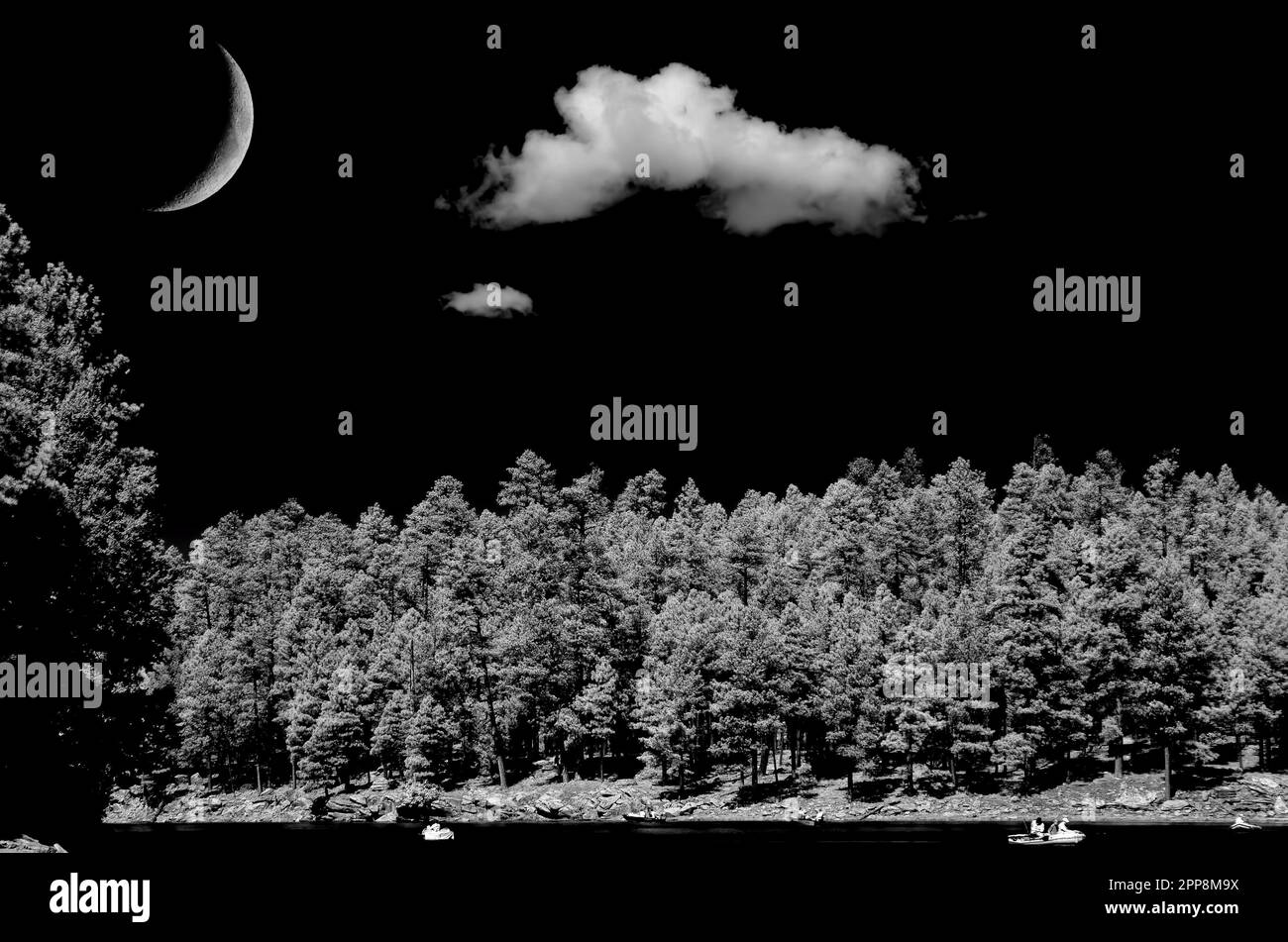 Forest lake with moon and pine trees in background Stock Photo - Alamy